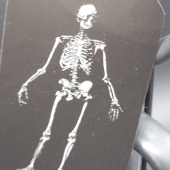 Prima Design | Dining | Prima Design Skeleton Halloween Set Of Four ...